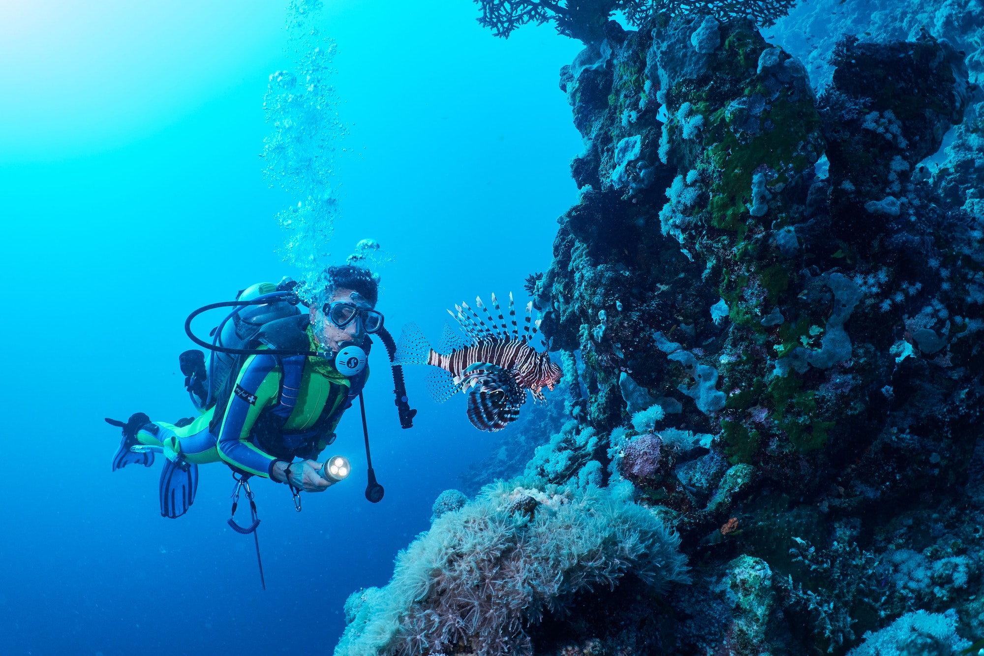 The Benefits of Scuba Diving — 3D Shopper